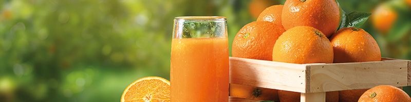 Winkel - Gewoon Ploon